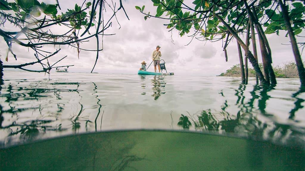 Beneath the Surface Podcast: Hooked on Family | BOTE | BOTE