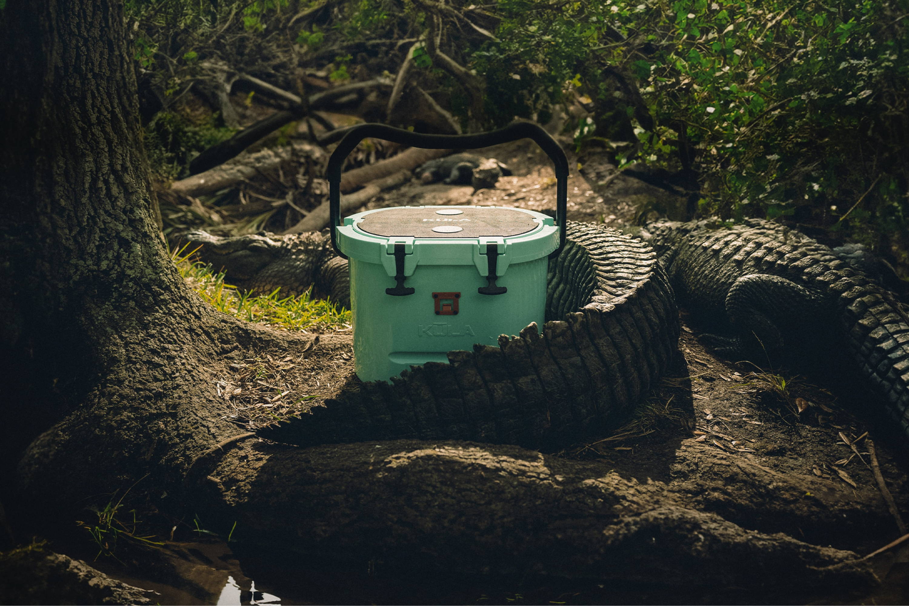 BOTE Presents // Gatorproof 10.0 | BOTE